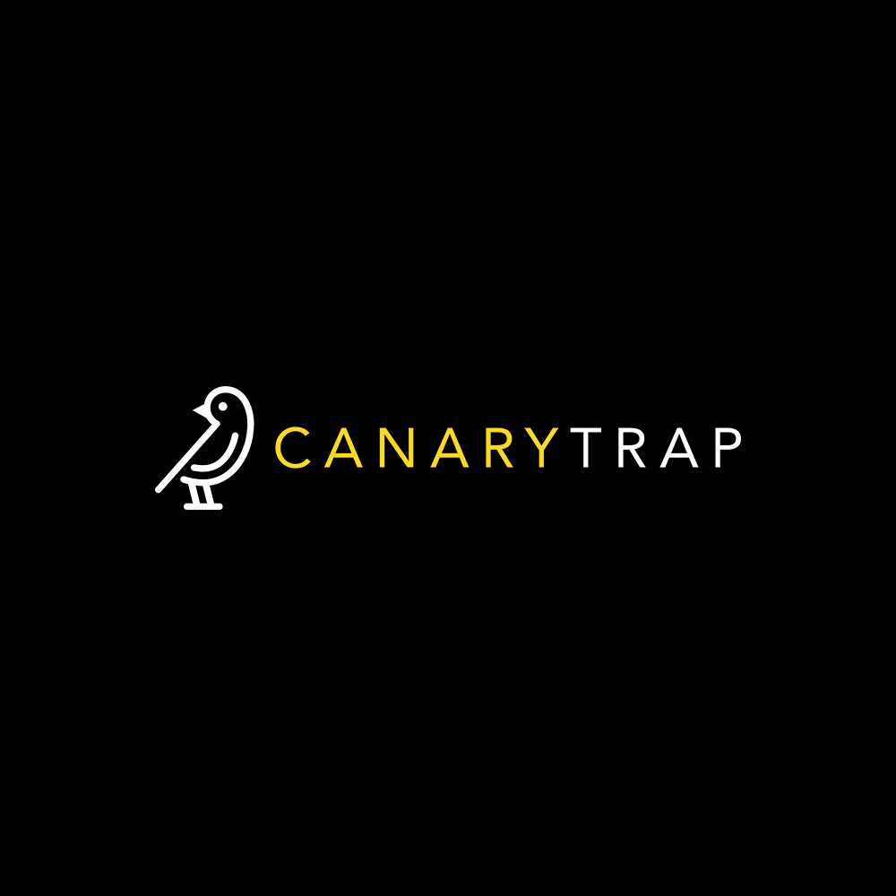 Your Pentest Report Should Drive Decisions. Most Don’t. - Canary Trap